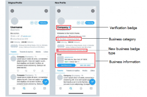 Twitter's Business Profiles Potential Features In 2021 | DMC